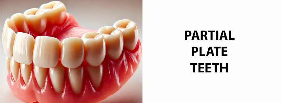 The Partial Plate Teeth Guide: Partial Plate Costs & Types